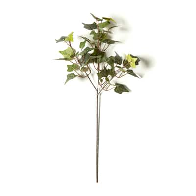 English Ivy Stem by Ashland® | Michaels