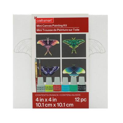 4" x 4" Moths Canvas Painting Kit by Craft Smart® | Michaels