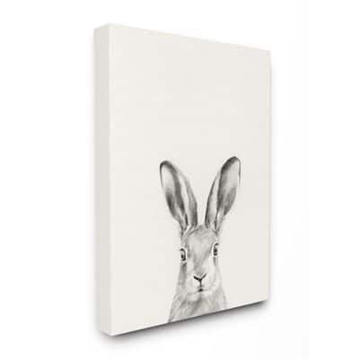 Stupell Industries Bunny Rabbit Portrait Grey Drawing Design Canvas ...