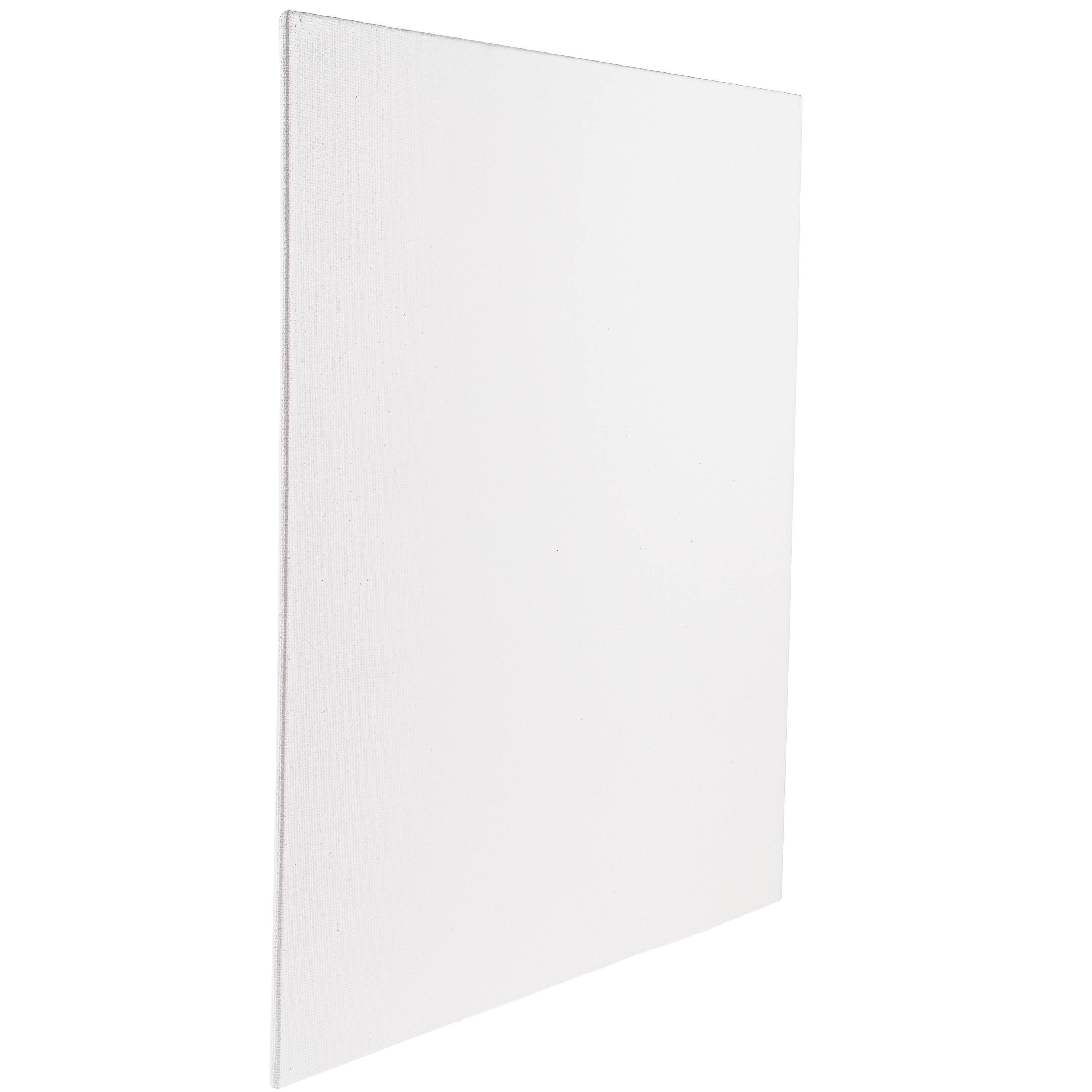 FREDRIX 12 Pack Artist Series Primed Canvas Panel | Michaels