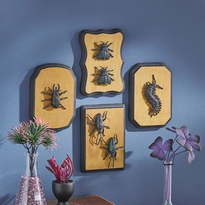 Creepy Bug Wall Décor | Projects | Michaels