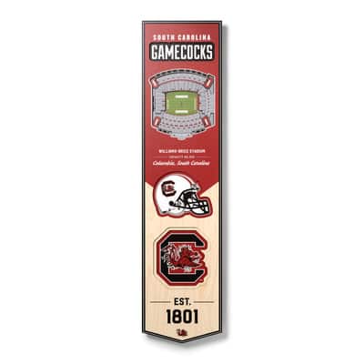 College 3D StadiumView Banner | Michaels