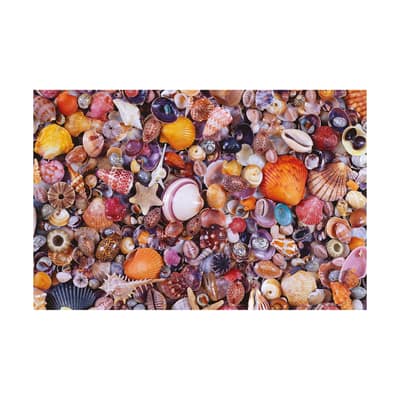 Seashells 1,000 Piece Jigsaw Puzzle | Michaels