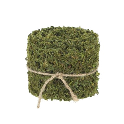 4" x 6ft. Decorative Moss Ribbon by Ashland® | Michaels