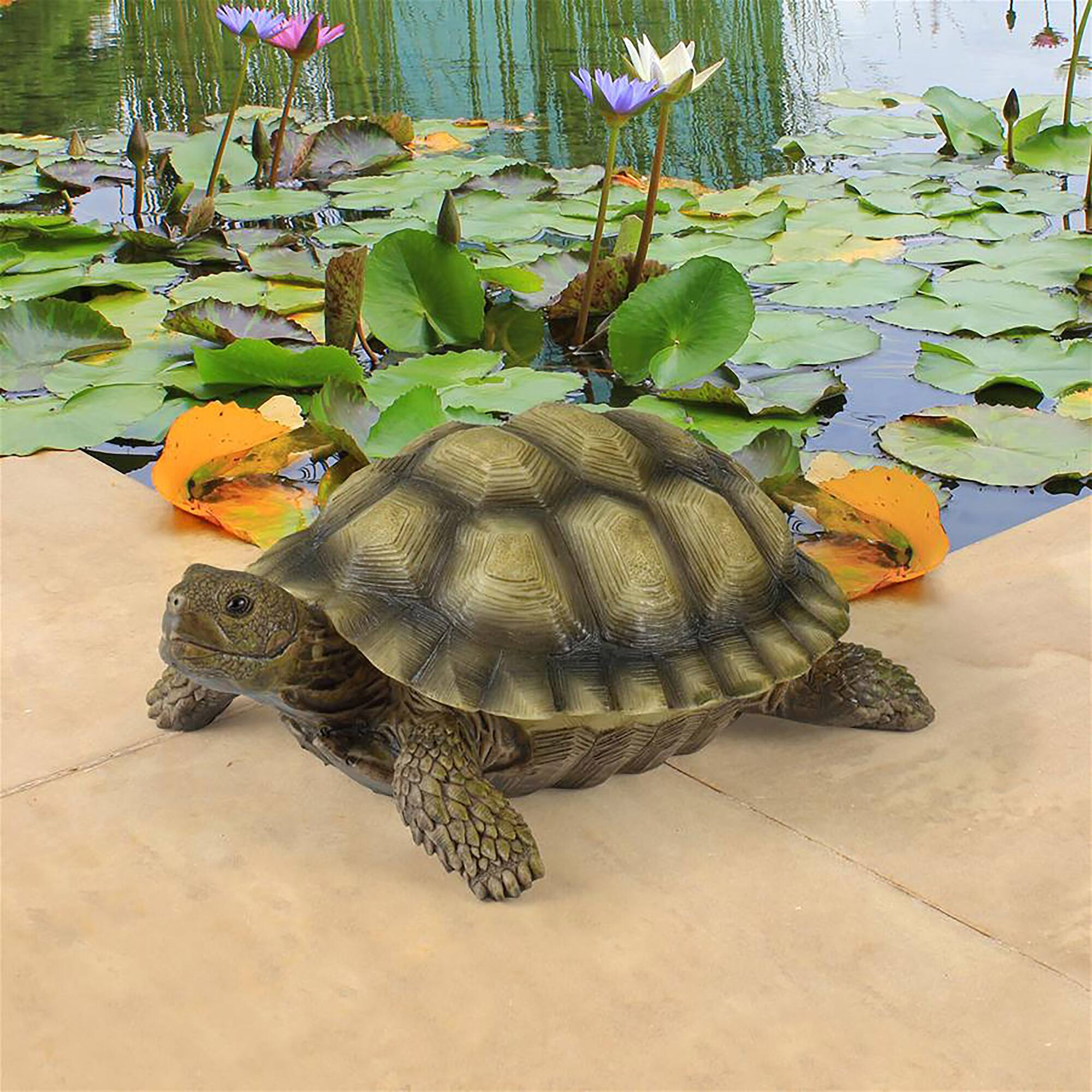 Design Toscano 3" Gilbert the Box Turtle Statue | Michaels