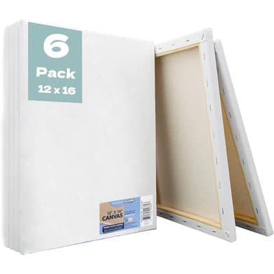 Artskills® 6 Pack 12" x 16" Stretched Primed Value Canvas | Michaels