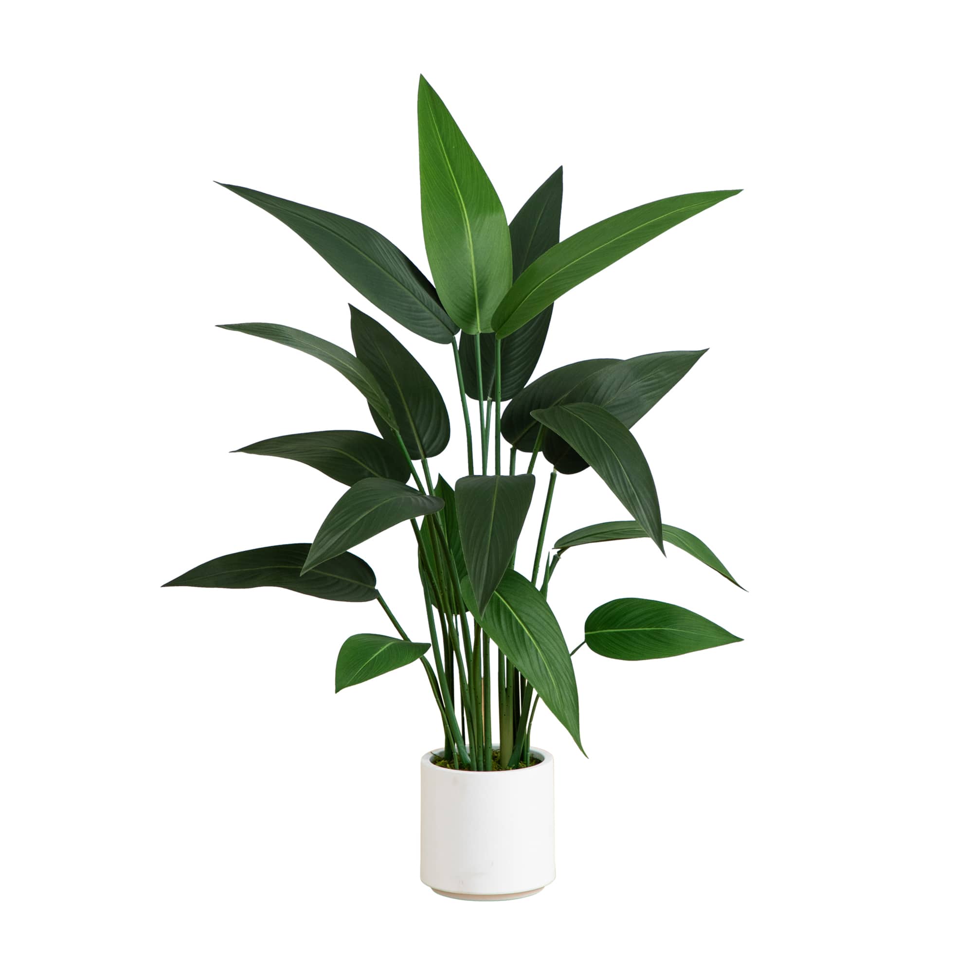 3.5ft. Sky Bird Tree in White Decorative Planter | Michaels