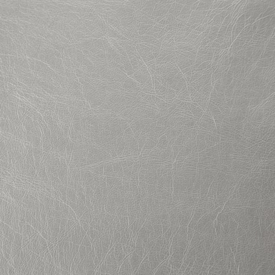 Richloom Helsing Silver Vinyl Fabric | Michaels
