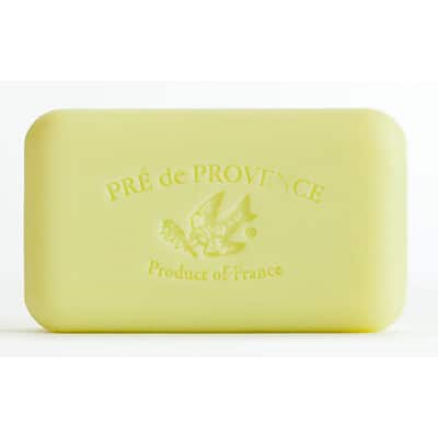 European Soaps Bar, 150g | Michaels