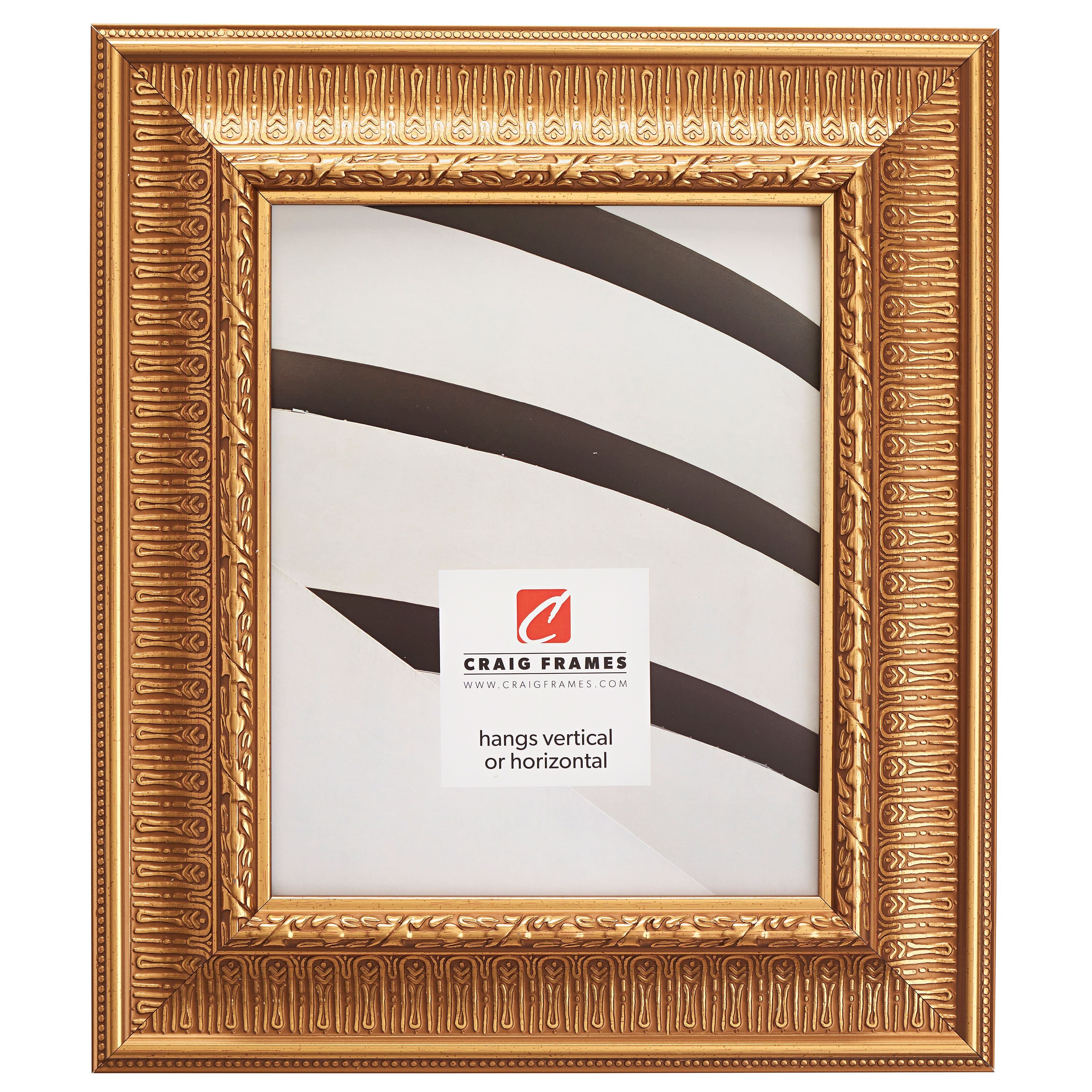 Craig Frames Roman Gold Maximus Picture Frame | Michaels
