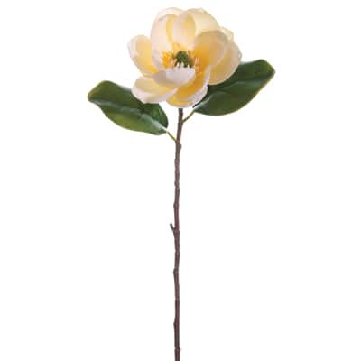 Buy in Bulk - 24 Pack: Vanilla Magnolia Spray | Michaels