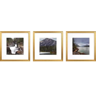 3 Pack Gallery™ Gold Frame with Mat by Studio Décor® | Michaels