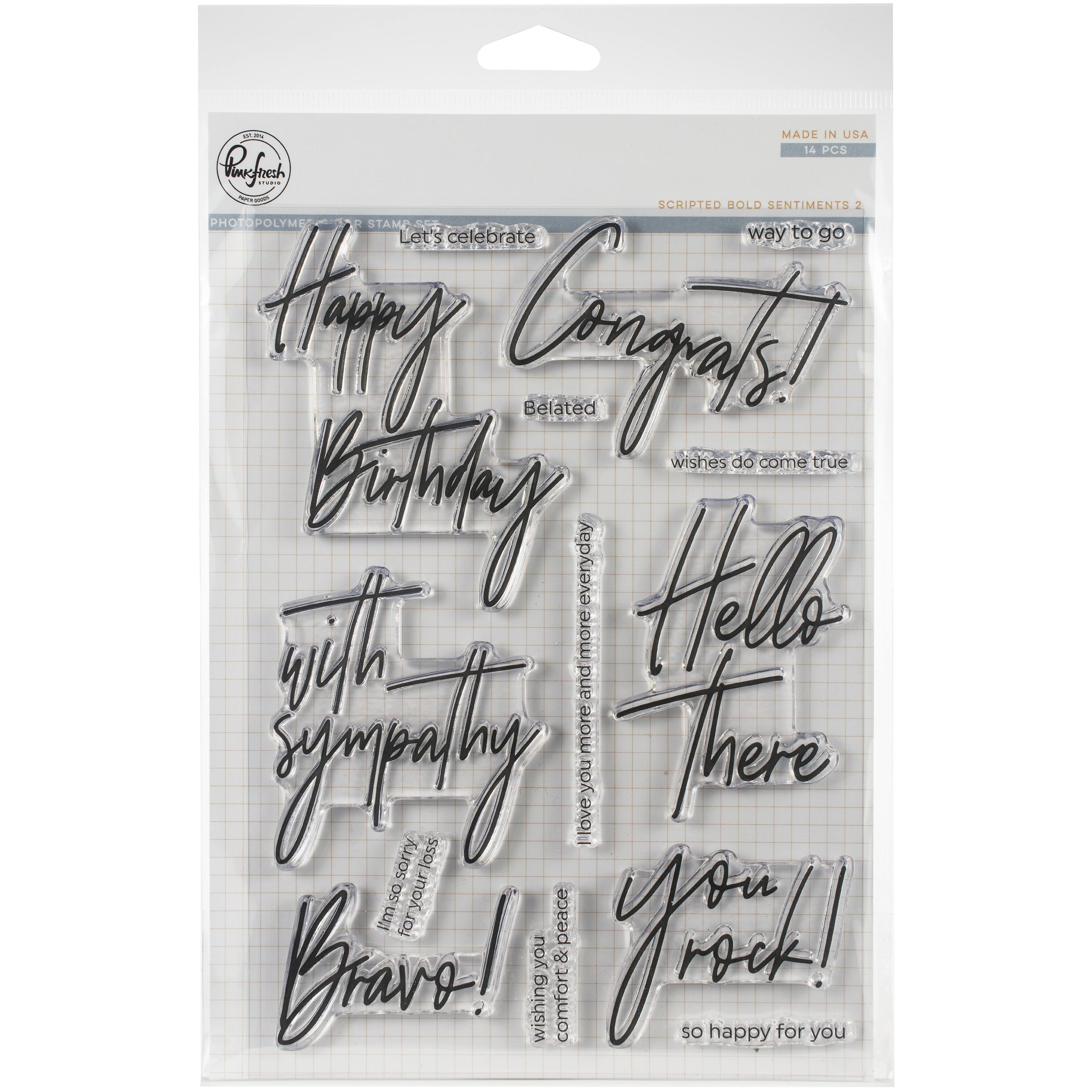 Pinkfresh Studio Scripted Bold Sentiments 2 Clear Stamp Set | Michaels