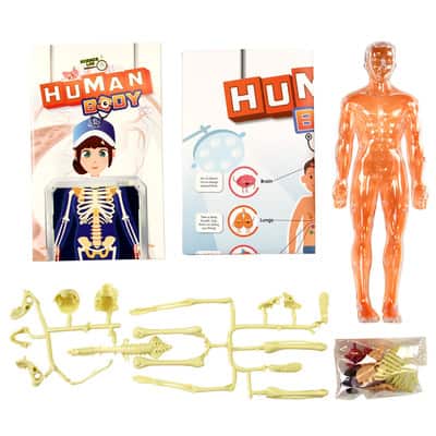 SpiceBox™ Science Lab Human Body Kit | Michaels