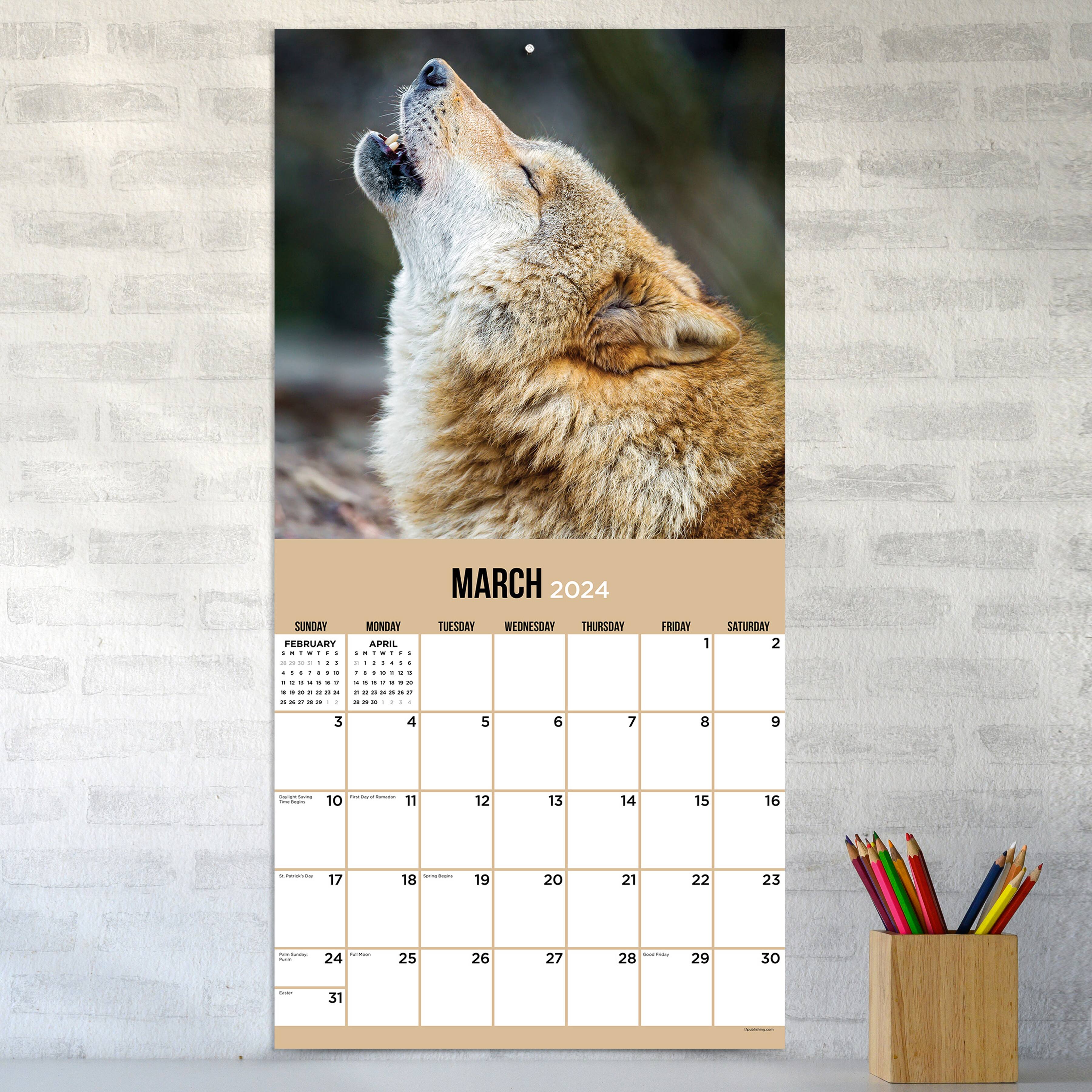 TF Publishing 2024 Wolves Wall Calendar | Michaels