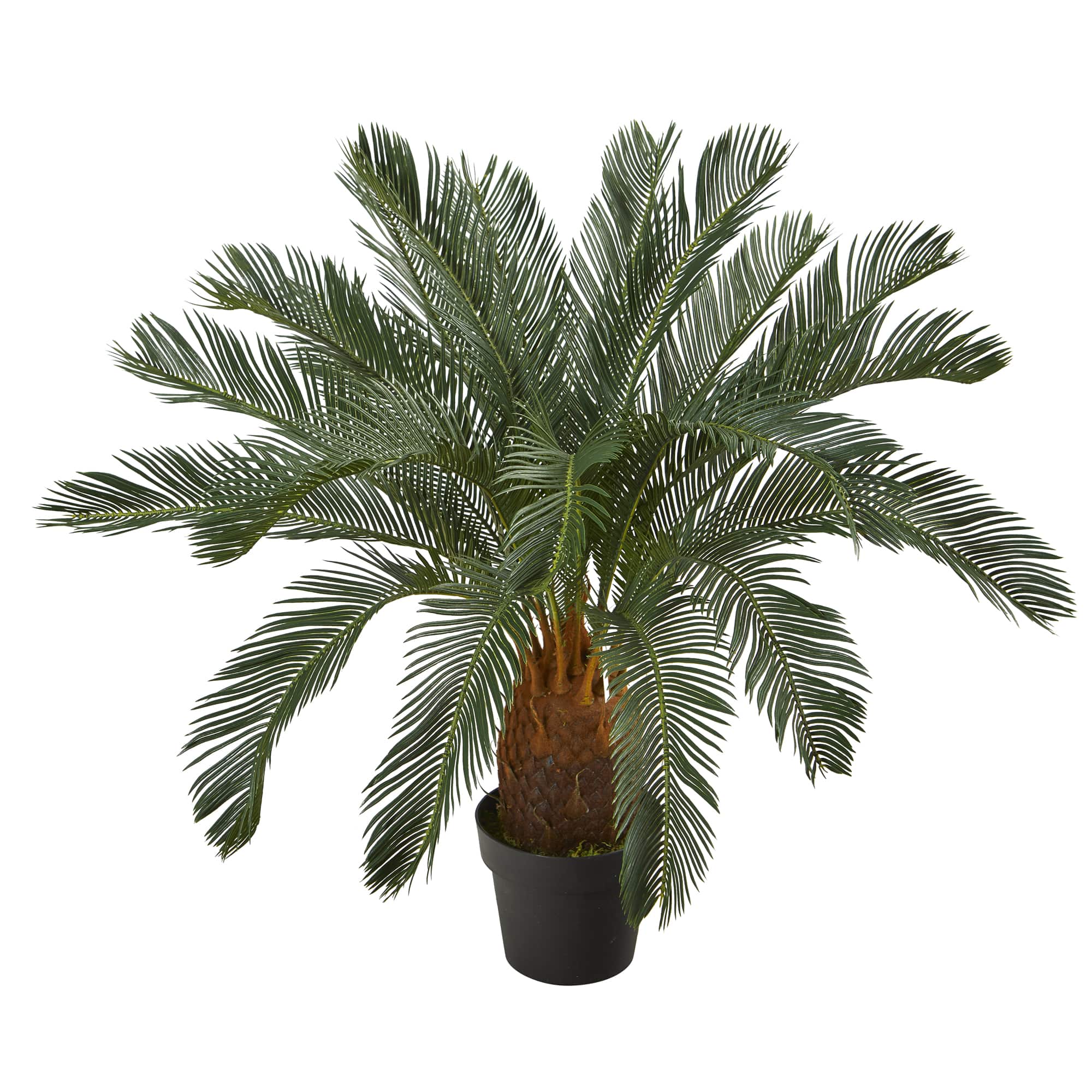 3ft. Potted Cycas Tree | Michaels