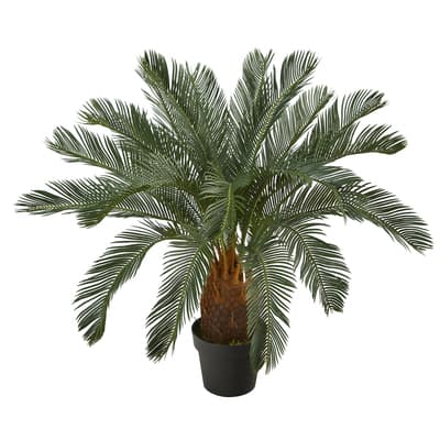 3ft. Potted Cycas Tree | Michaels