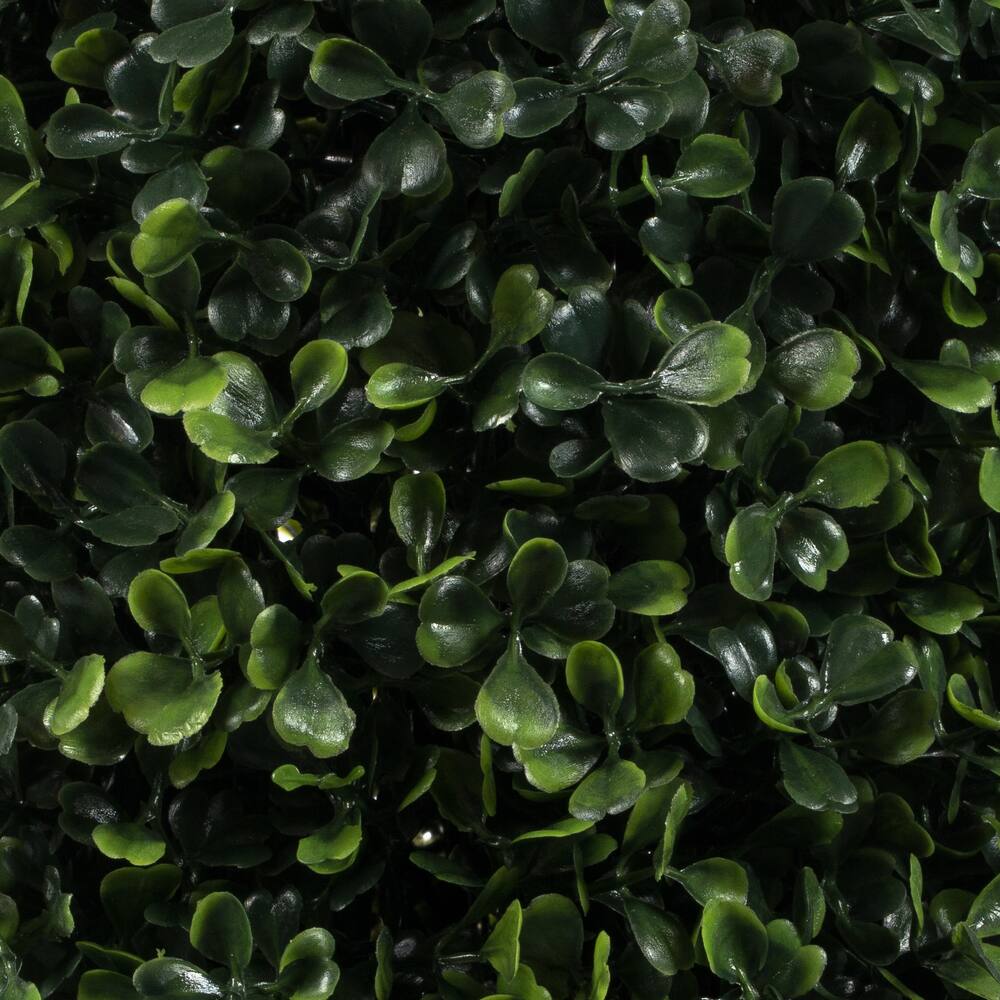 5ft. Potted Boxwood Cone Topiary Tree | Michaels