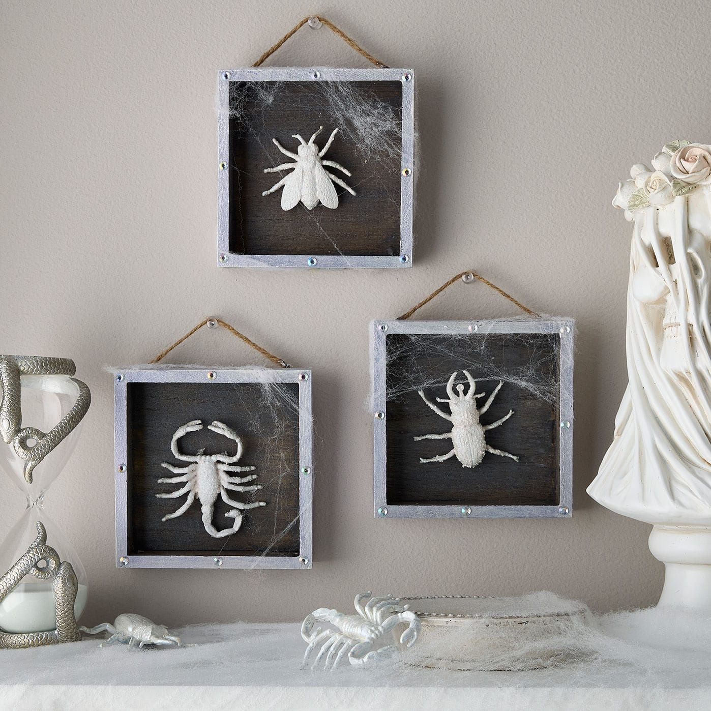 Halloween White Queen Insect Taxidermy | Projects | Michaels