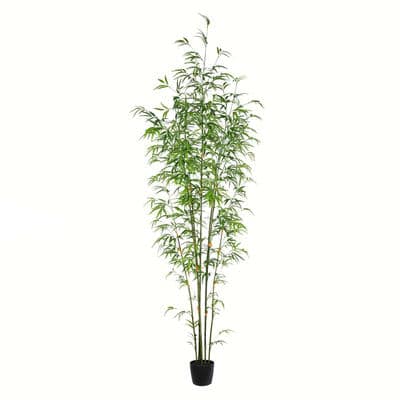 7ft. Potted Mini Bamboo Tree | Michaels