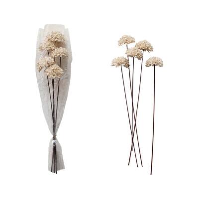 Hello Honey® 23.5" Dried Natural Sesame Flower Stems, 5ct. | Michaels