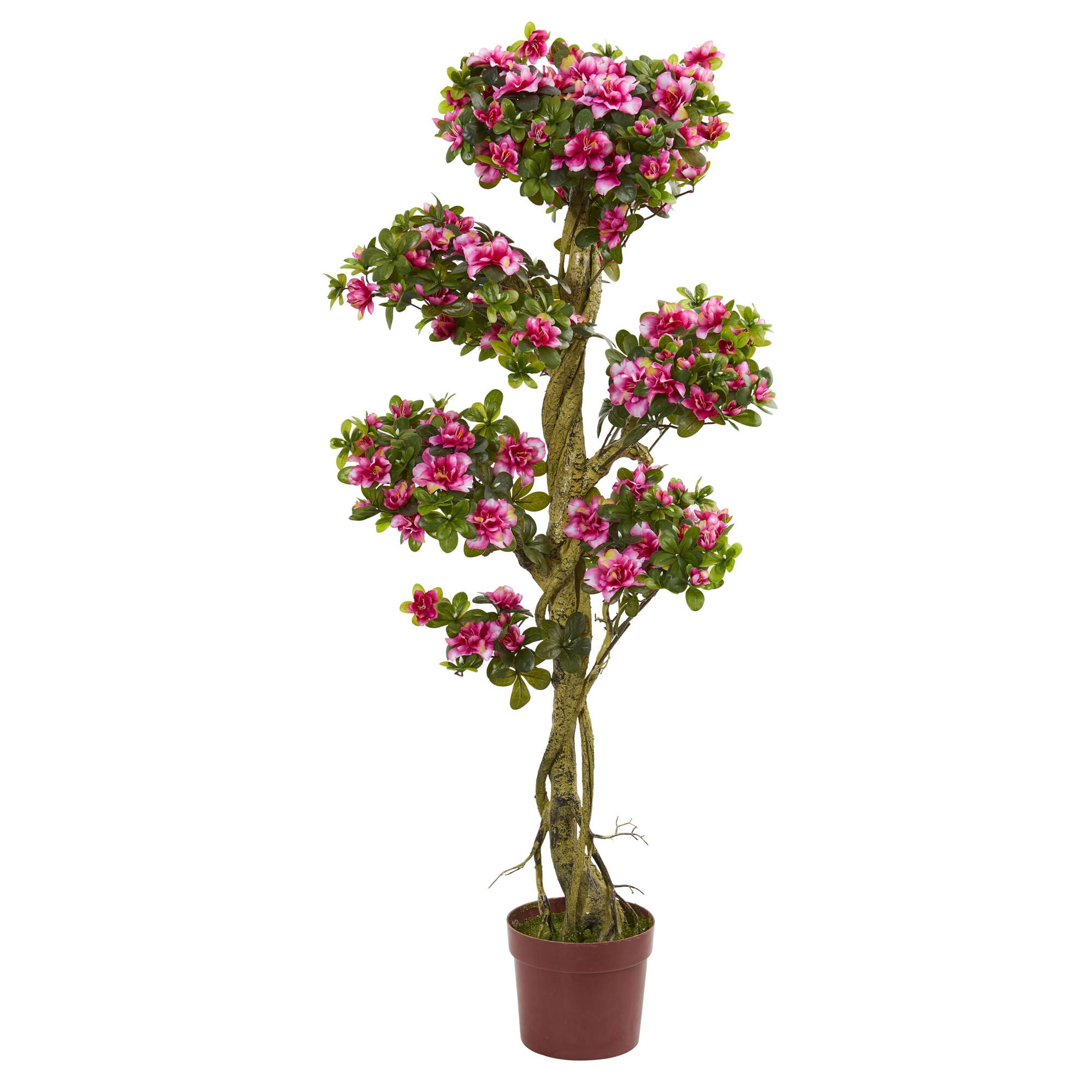 5ft. Potted Azalea Tree | Trees & Floor Plants | Michaels