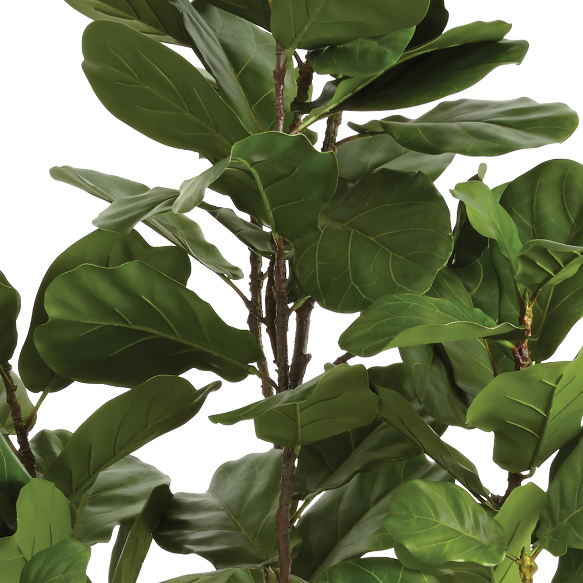 6.5ft. Fiddle Leaf Fig Tree | Michaels