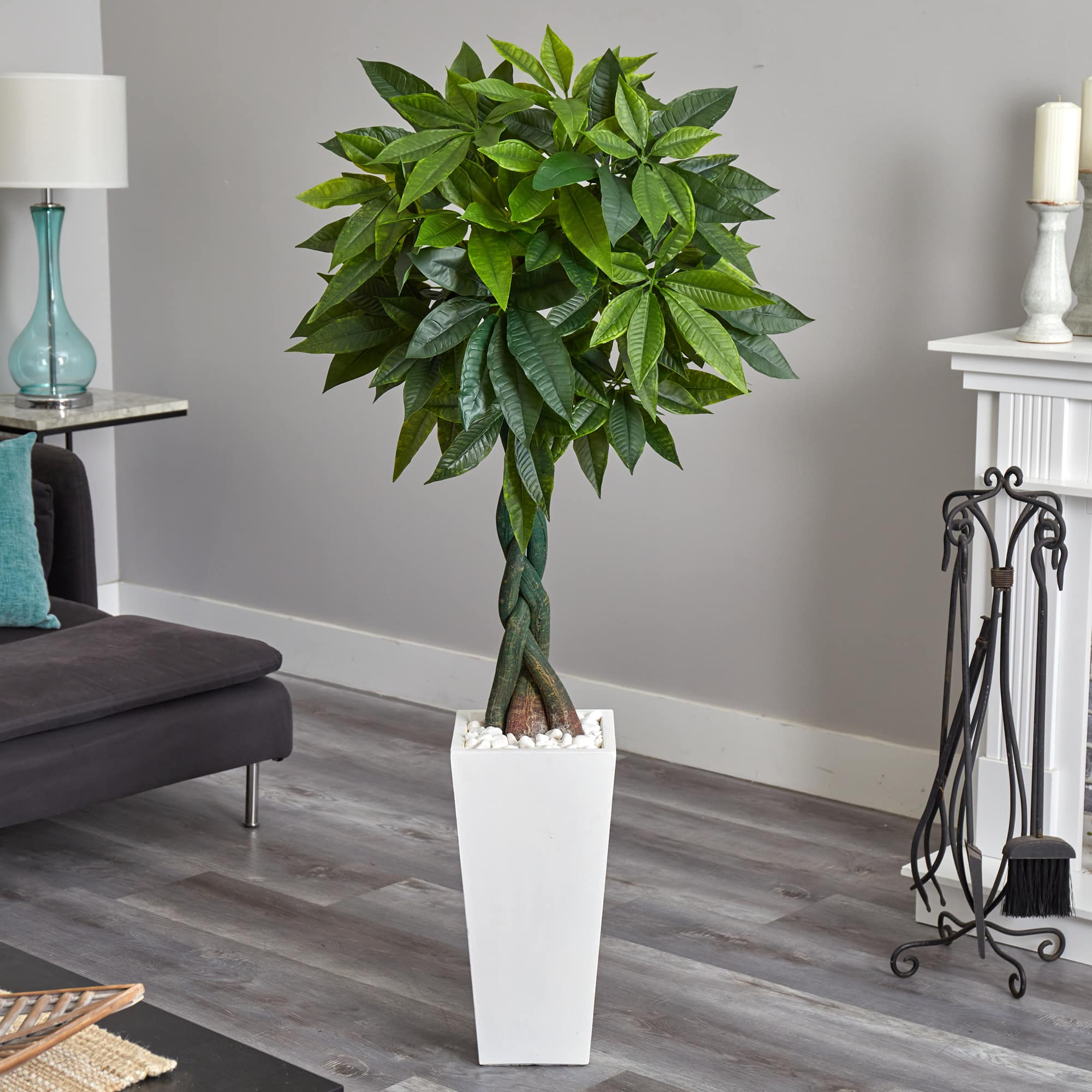 5.5ft. Money Tree in White Tower Planter | Michaels