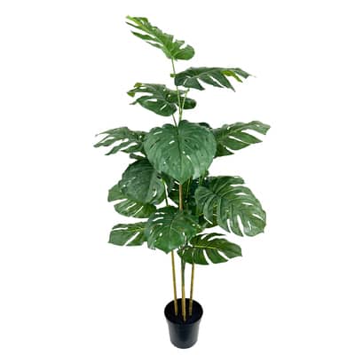 5ft. Potted Monstera Deliciosa Tree by Ashland® | Michaels