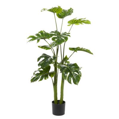 4.5ft. Potted Monstera Plant | Michaels