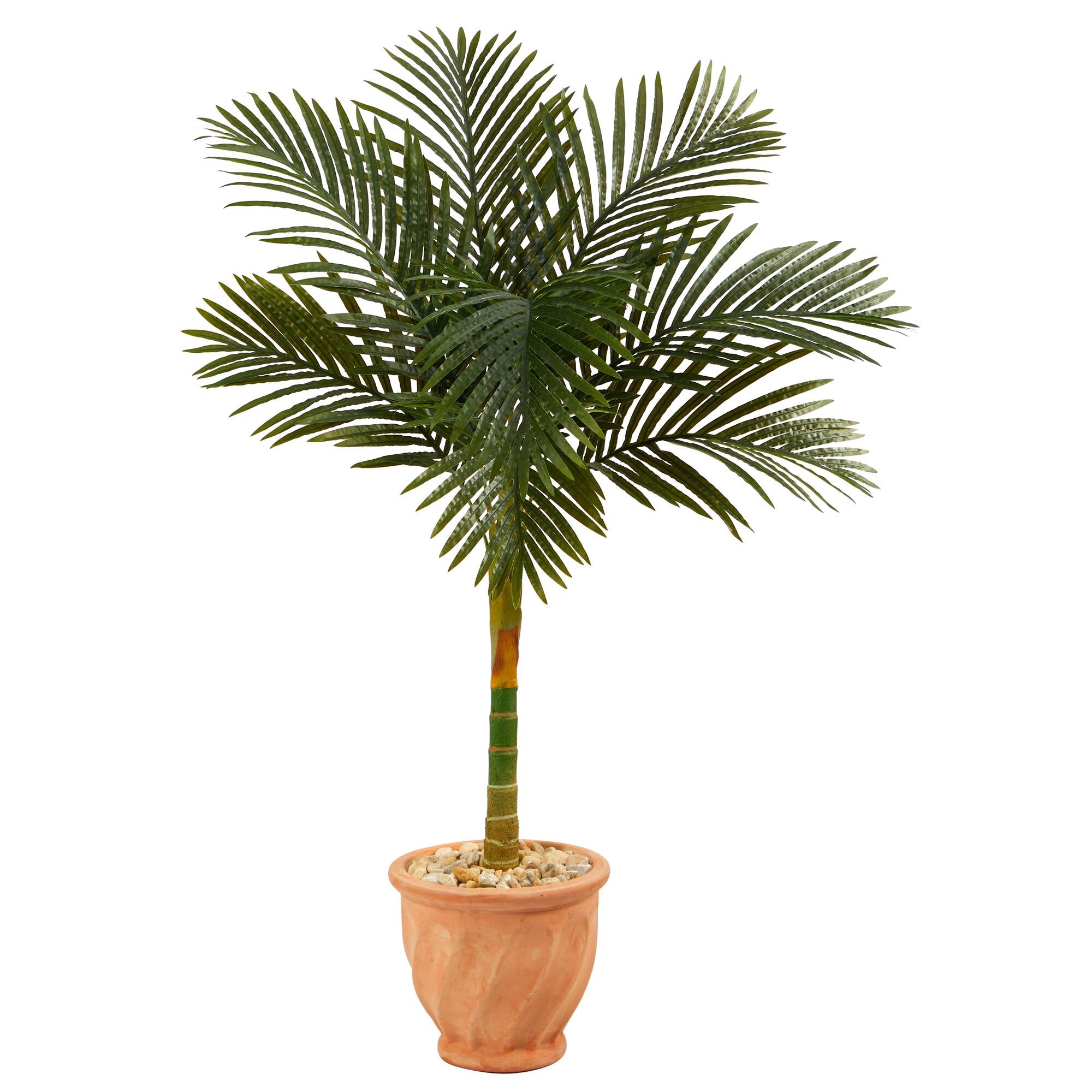 4.5ft. Golden Cane Palm Tree in Terra-Cotta Planter | Michaels