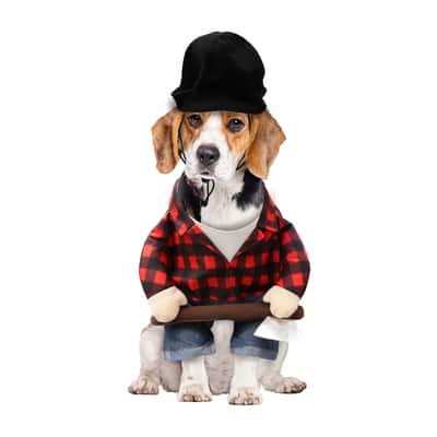 Best Furry Friends Lumberjack Pet Costume | Michaels