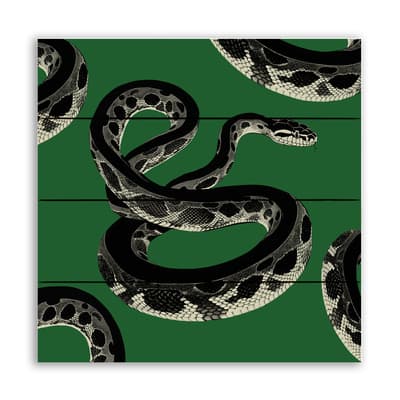 11.75" Snakes Pallet Wood Wall Art | Michaels