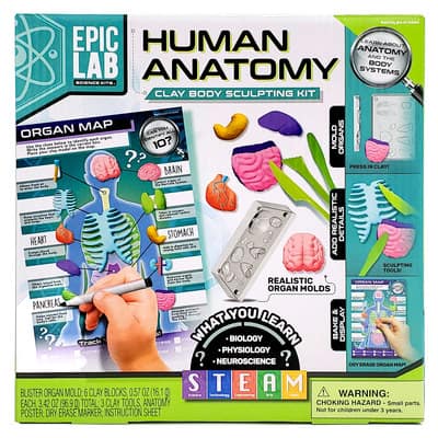 ArtSkills® Epic Lab Human Anatomy STEM Kit | Michaels