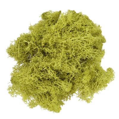 1.7oz. Light Green Moss by Ashland® | Michaels
