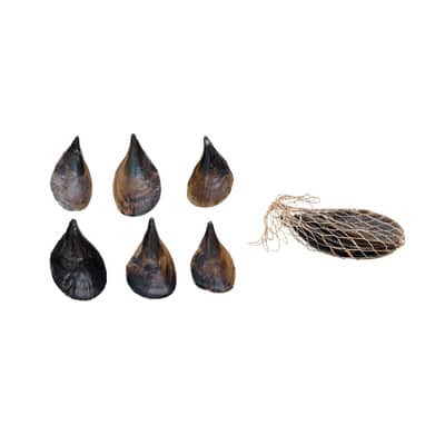 Hello Honey® Pen Clam Shells in Bag | Michaels