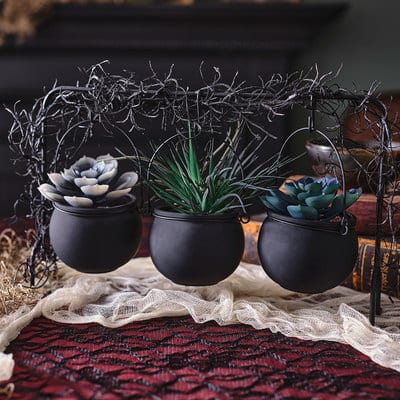 Succulent Cauldron | Projects | Michaels