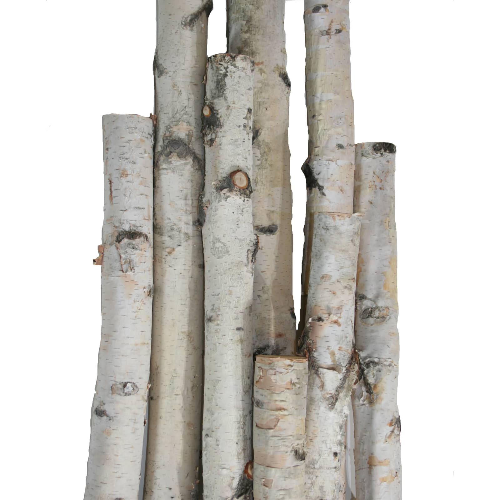 Wilson® Enterprises White Birch Pole Pack | Michaels