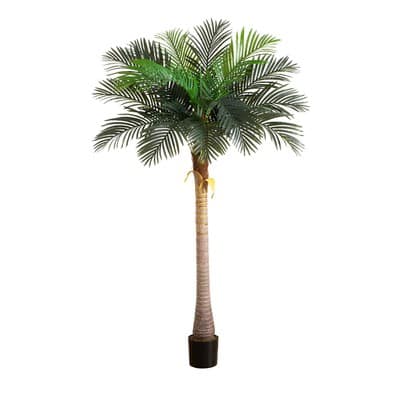 7ft. Potted Coconut Palm Tree | Michaels