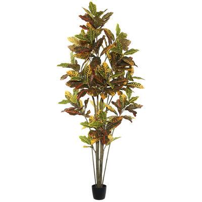 7ft. Potted Green & Orange Croton Tree | Michaels