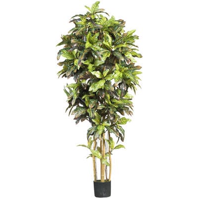 6ft. Potted Croton Tree | Michaels