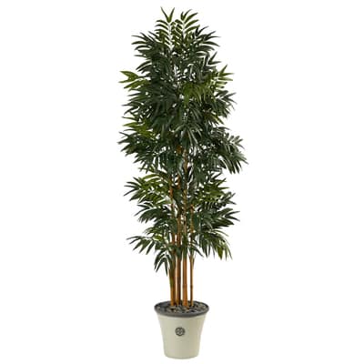 6ft. Phoenix Palm Tree in Decorative Planter | Michaels