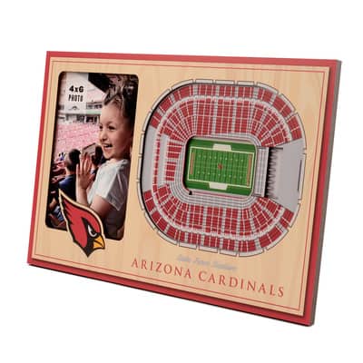 NFL 3D StadiumViews Picture Frame | Michaels