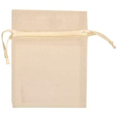 JAM Paper Sheer String Tie Gift Bags, 12ct. | Michaels