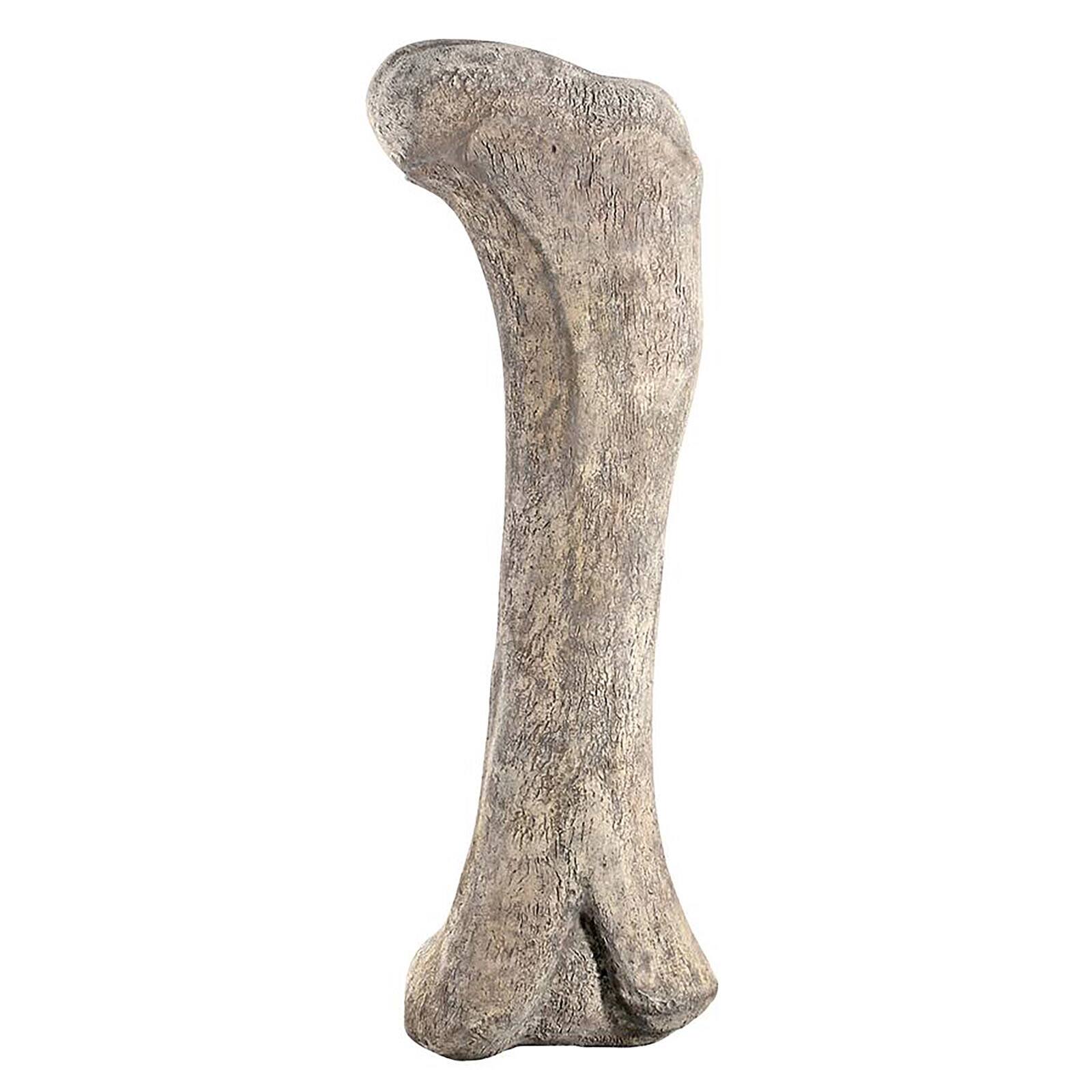 Design Toscano Apatosaurus Femur Bone Fossil Statue | Michaels