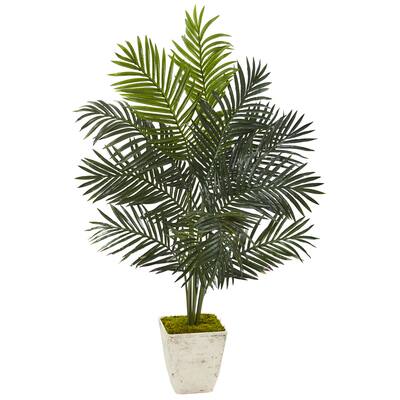 4.5ft. Paradise Palm Tree in White Planter | Michaels
