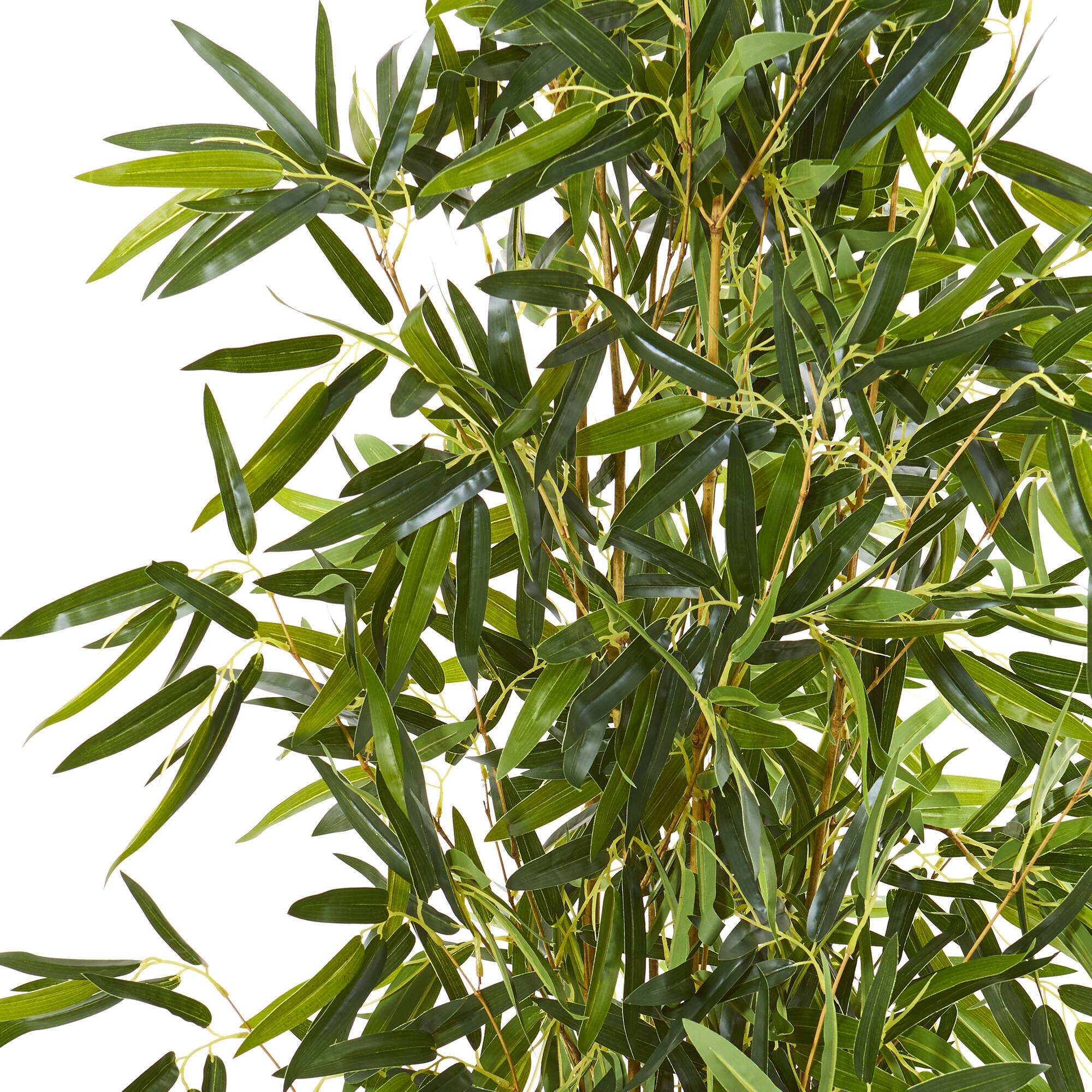 4ft. Potted Bamboo Tree | Michaels