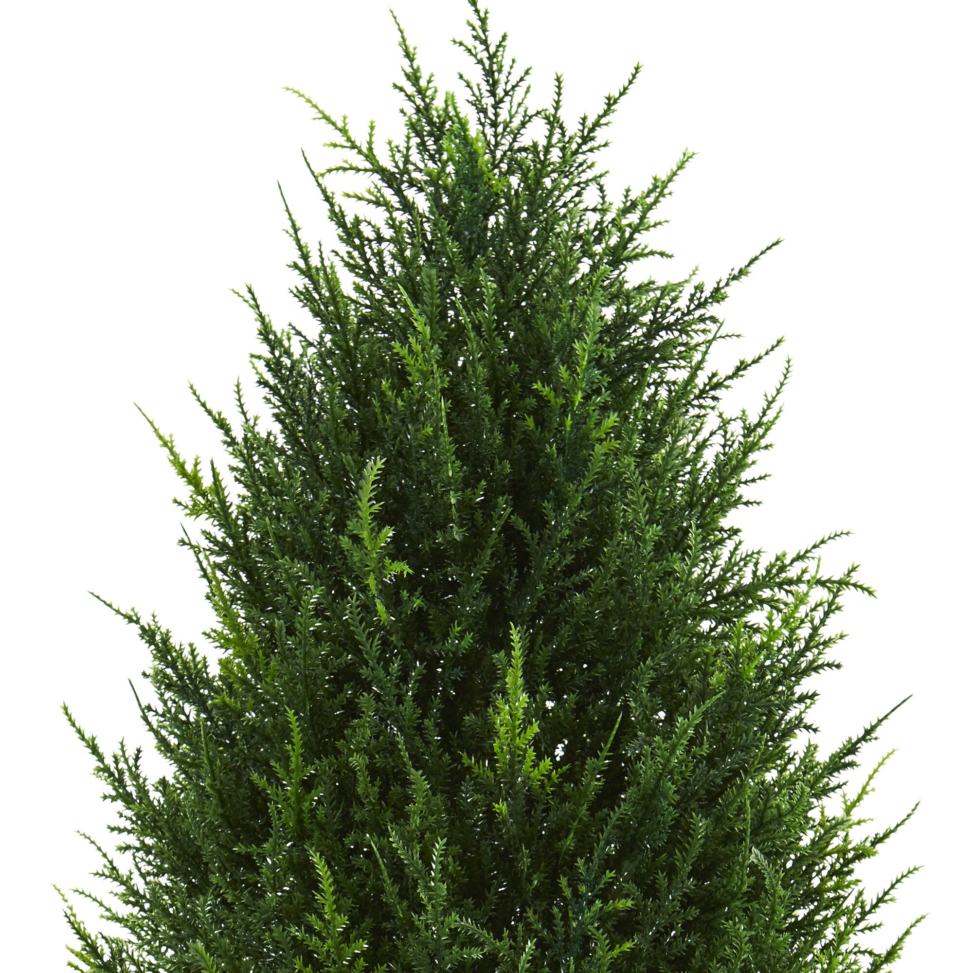 3ft. Potted Cypress Tower Tree | Trees & Floor Plants | Michaels