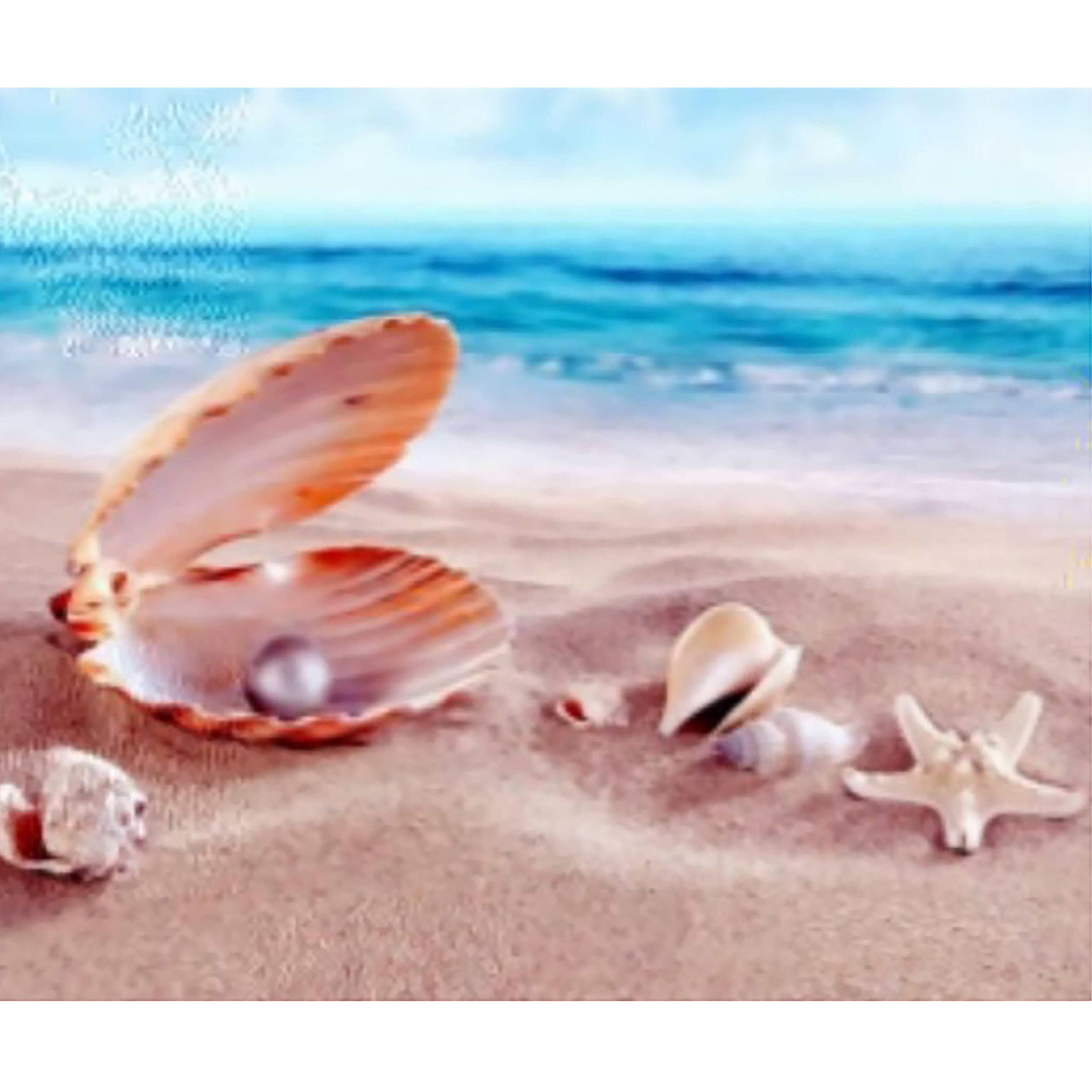 Sparkly Selections Beginner Seashells by the Seashore Diamond Painting ...
