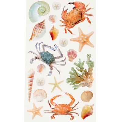 Shell Stickers by Recollections™ | Michaels